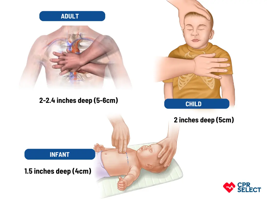 CPR Chest Compression Depth for Adults, Infants - CPR Select